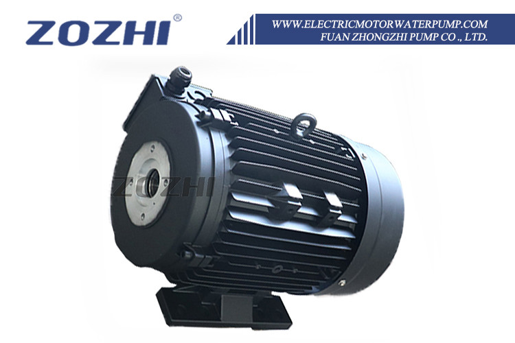Durable Performance Hollow Shaft Motor with IP55 Protection Class and 2 ...