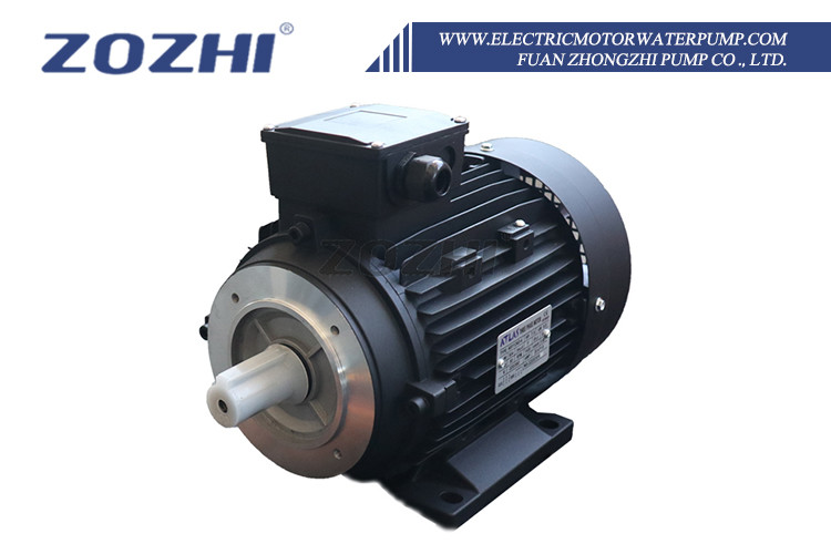 Industrial Grade 3 Phase Induction Motor with Rated Voltage 220V/380V ...