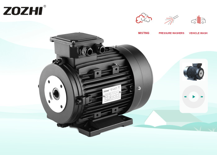 Class F Three Phase Induction Motor , 50HZ Hollow Shaft Electric Motor ...